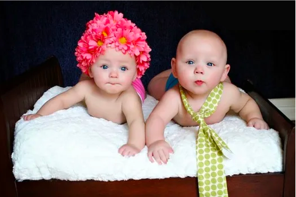 ¿Alta Capacidad o Alto Rendimiento? – La Rebelión del Talento